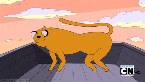 Jake GIF - Find & Share on GIPHY
