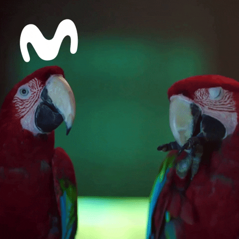 Hola Que Tal Amigos GIF - Find & Share on GIPHY