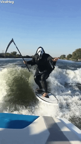 Scream Surfing GIF by ViralHog - Find & Share on GIPHY