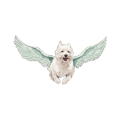 Dog Flying Sticker for iOS & Android | GIPHY