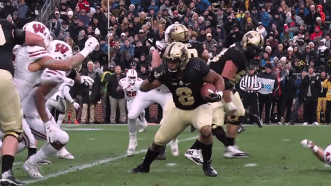 Football Jeffbrohm GIF by Purdue Sports - Find & Share on GIPHY