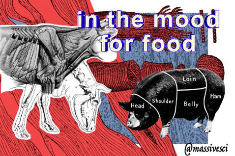 Hungry Cultured Meat GIF by Massive Science - Find & Share on GIPHY