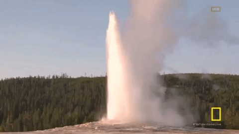 GIF by National Geographic Channel - Find & Share on GIPHY