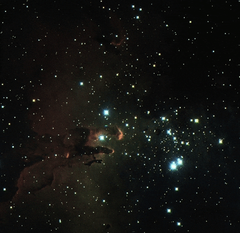 Animated Von Nebula