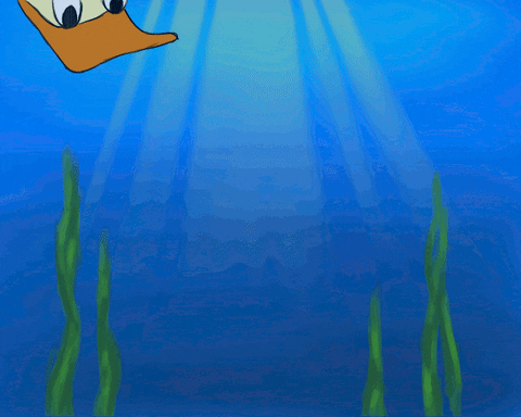 Swim GIF - Find & Share on GIPHY