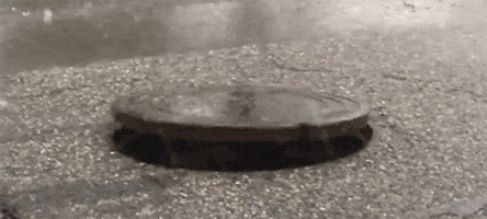 Manhole Covers GIFs - Find & Share on GIPHY