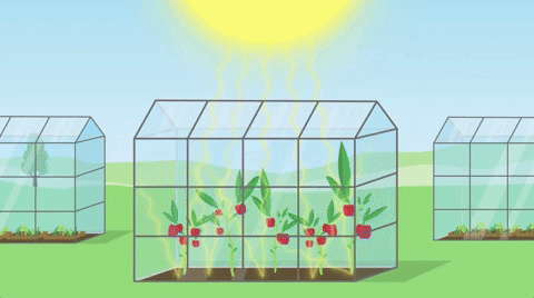 Climate Change Animation GIF - Find & Share on GIPHY