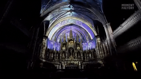 Basilique Notre-Dame Church GIF by Moment Factory - Find & Share on GIPHY