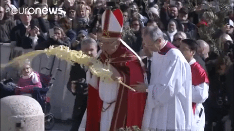 Pope Francis GIF by euronews - Find & Share on GIPHY