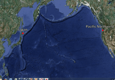 Pacific Garbage Patch GIFs - Find & Share on GIPHY