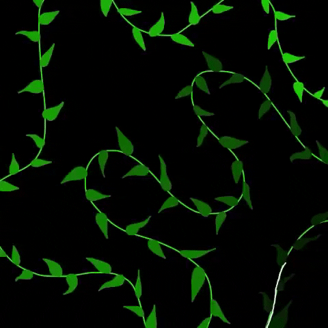Green GIF - Find & Share on GIPHY