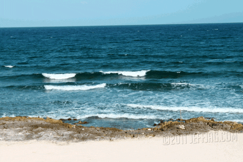 Sea GIF - Find & Share on GIPHY