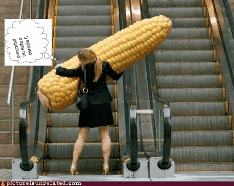 Corn GIFs - Find & Share on GIPHY