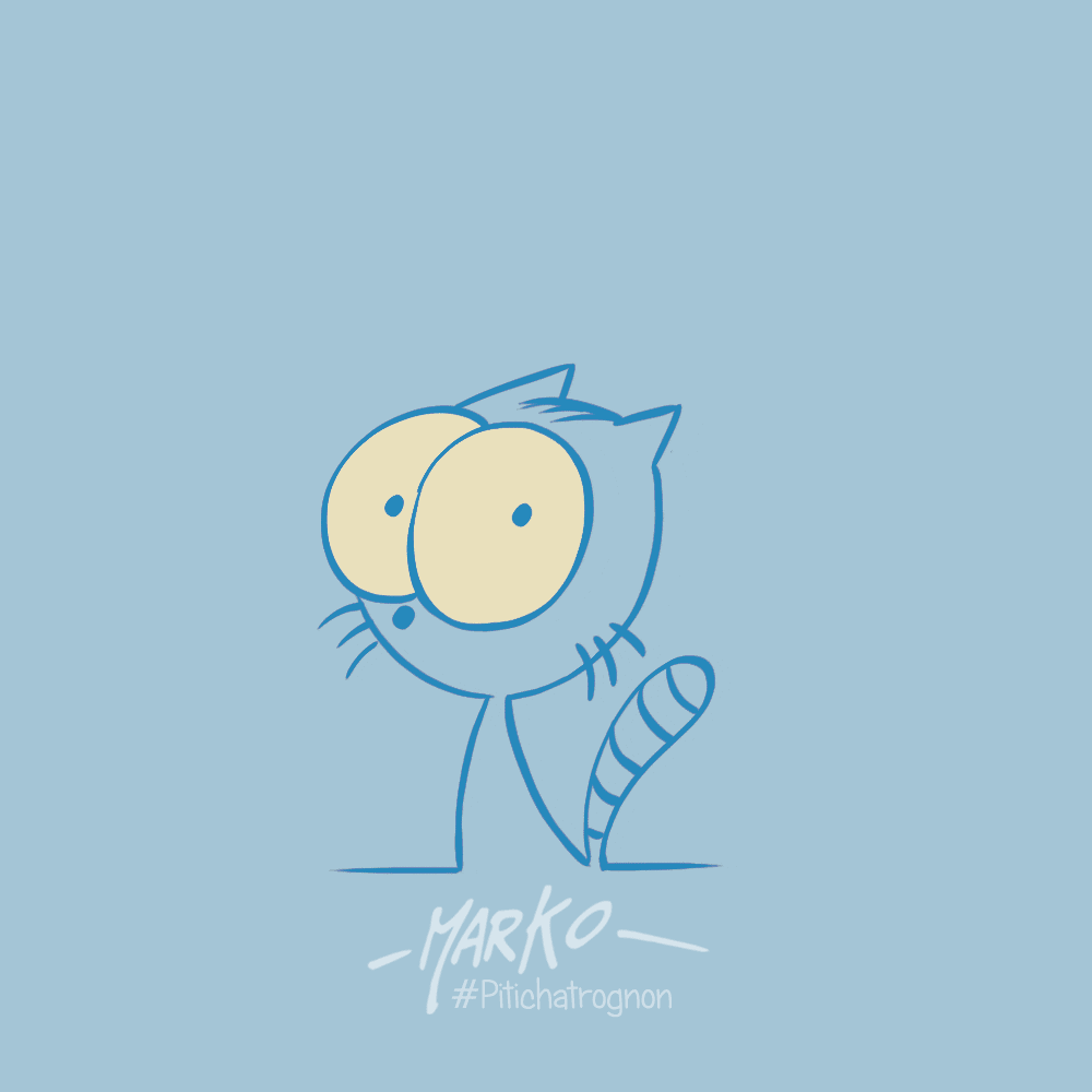 Cat Hello GIF by marko - Find & Share on GIPHY