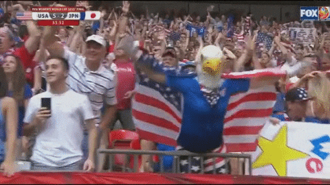 Usa GIF - Find & Share on GIPHY