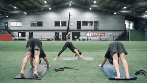 Yoga Trapeze Gifs