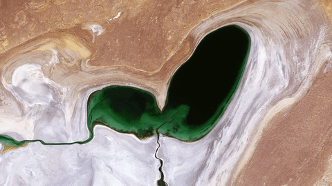 Aral Sea GIFs - Get the best GIF on GIPHY
