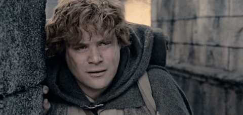 Samwise Gamgee GIF - Find & Share on GIPHY