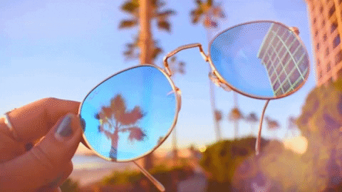 Palm Trees Beach GIF - Find & Share on GIPHY