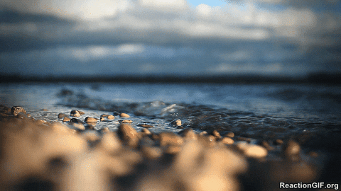 Relaxed GIF - Find & Share on GIPHY