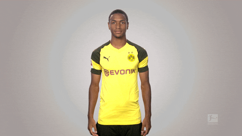 Borussia Dortmund Football GIF by Bundesliga - Find & Share on GIPHY