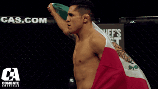 Mixed Martial Arts Fighting GIF by CombateAmericas - Find & Share on GIPHY