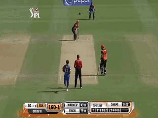 Cricket GIF - Find & Share on GIPHY