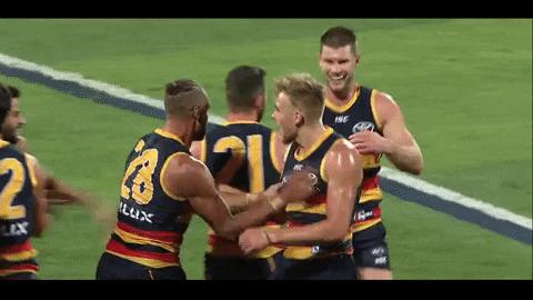 Afl Celebrate GIF by Adelaide Crows - Find & Share on GIPHY