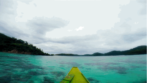 Hopping GIF - Find & Share on GIPHY