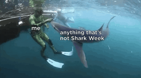 Go Away No GIF by Shark Week - Find & Share on GIPHY