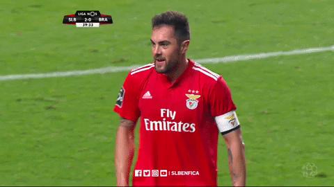 Sl Benfica Hug GIF by Sport Lisboa e Benfica - Find & Share on GIPHY