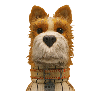Isle Of Dogs Boss Sticker by Searchlight Pictures for iOS & Android | GIPHY