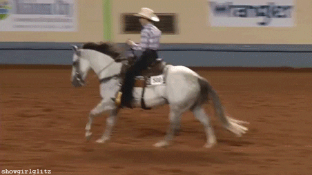 Western GIF - Find & Share on GIPHY