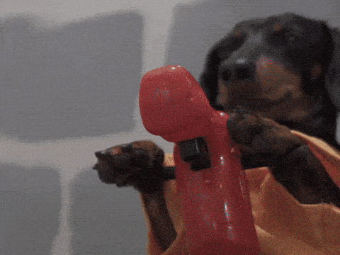 Prisonbreak GIFs - Get the best GIF on GIPHY