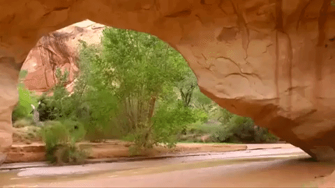 Utah GIF - Find & Share on GIPHY