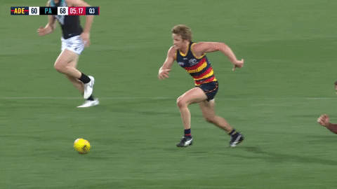 Round 20 Afl GIF by Adelaide Crows - Find & Share on GIPHY