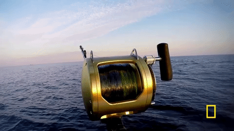 Wicked Tuna GIF by National Geographic Channel - Find & Share on GIPHY
