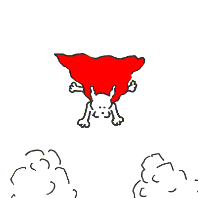 Dog Flying GIF - Find & Share on GIPHY