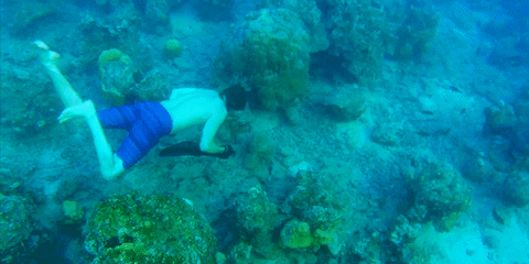 Season 6 Scuba Diving GIF by Bravo TV - Find & Share on GIPHY