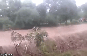 Flood GIFs - Find & Share on GIPHY