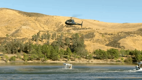 Fear Factor GIF - Find & Share on GIPHY