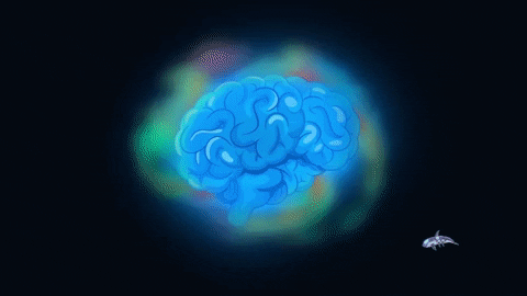 Interested Brain GIF by Cartoon Hangover - Find & Share on GIPHY