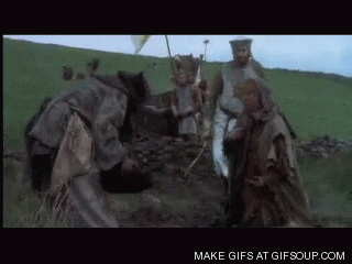 Monty Python GIF - Find & Share on GIPHY