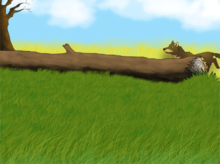 Grass GIF - Find & Share on GIPHY