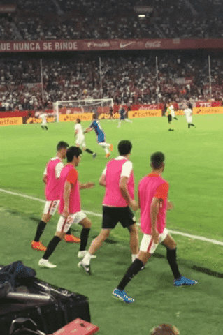 La Liga Soccer GIF by Sevilla Fútbol Club - Find & Share on GIPHY