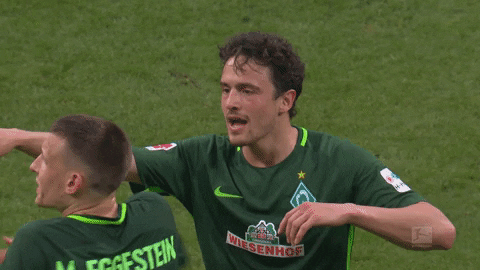 Sv Werder Bremen GIF - Find & Share on GIPHY