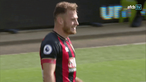 Football Soccer GIF by AFC Bournemouth - Find & Share on GIPHY