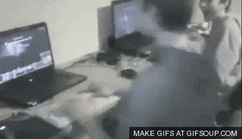 Animated GIF - Find & Share on GIPHY