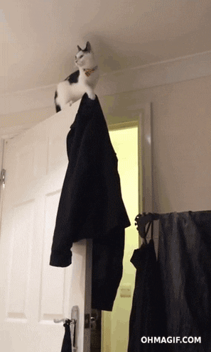 Door Fail GIF - Find & Share on GIPHY