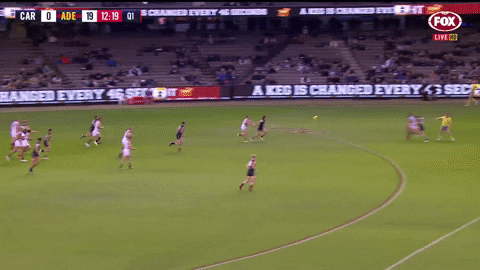 Fend Off Wayne Milera GIF by Adelaide Crows - Find & Share on GIPHY
